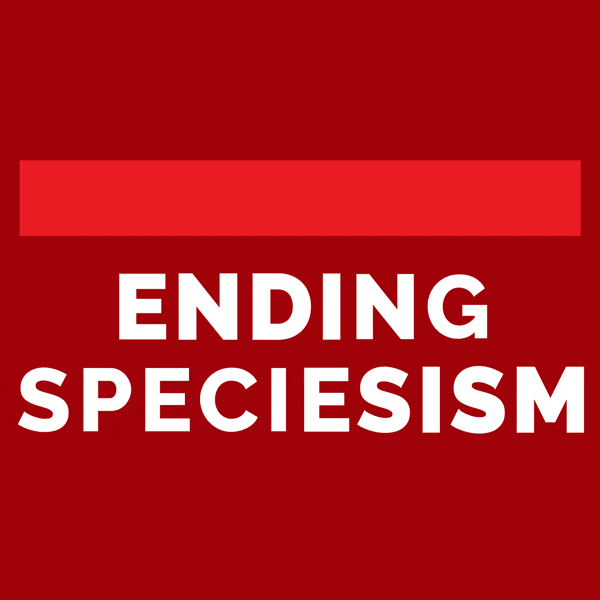 PETA GIF - Find & Share on GIPHY