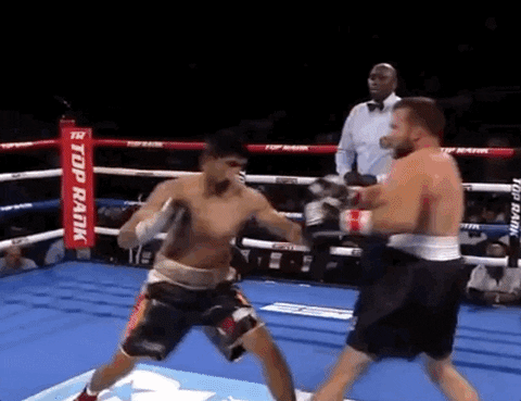 Top Rank Boxing GIF - Find & Share on GIPHY