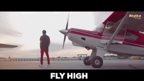 Fly High GIF - Find & Share on GIPHY