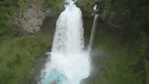 Eugene, Cascades & Coast GIF - Find & Share on GIPHY