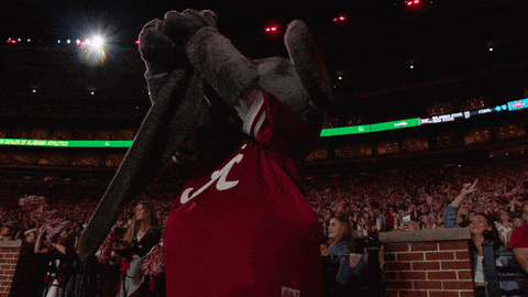 Alabama Football Roll Tide GIF by The University of Alabama - Find ...