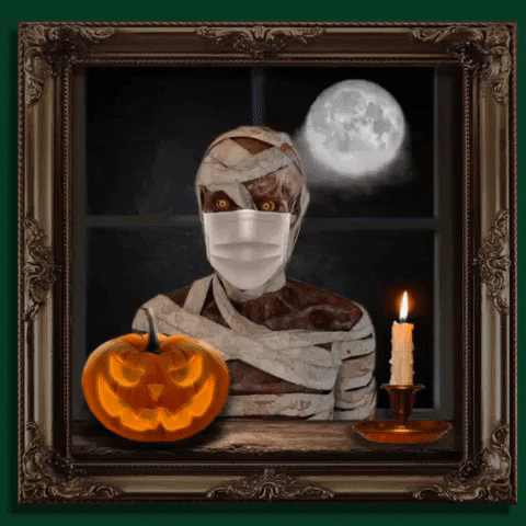 Trick Or Treat Halloween Gif By What'S The GIF - Find & Share on GIPHY