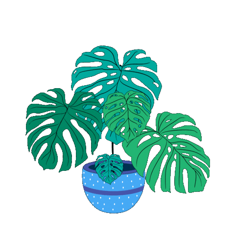 Flowers Plants Sticker by Homebook for iOS & Android | GIPHY