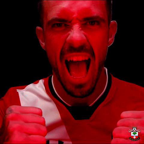 Celebrate Premier League GIF by Southampton FC - Find & Share on GIPHY