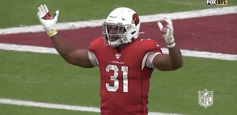 Arizona Cardinals Football GIF by NFL - Find & Share on GIPHY
