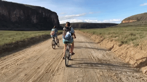 Travel Bike GIF by Roanoke College - Find & Share on GIPHY