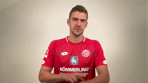 Stefan Bell GIF by 1. FSV Mainz 05 - Find & Share on GIPHY