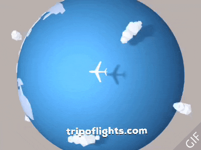 Travel World GIF by tripo - Find & Share on GIPHY