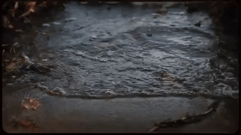 Water Waves GIF by Rhymesayers - Find & Share on GIPHY