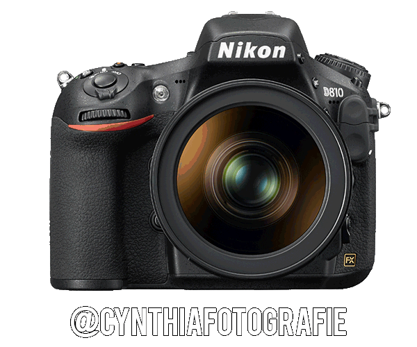 Nikon Cynthiafotografie Sticker by NikonIndia for iOS & Android | GIPHY