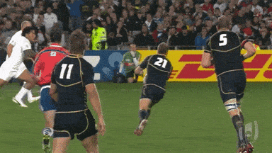 England Rugby Sport GIF by Rugby World Cup - Find & Share on GIPHY