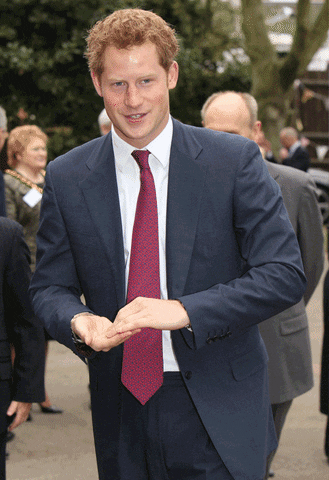 Prince Harry GIF - Find & Share on GIPHY