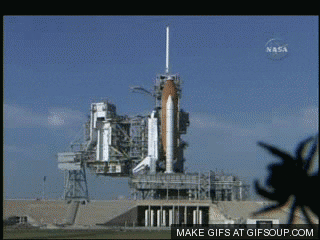 NASA Sent Spiders into Space to Study Their Hunting Ability - AR15.COM