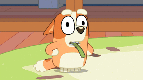 Scream No GIF by Bluey - Find & Share on GIPHY