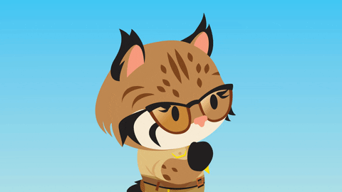 Cat Question GIF by AppExchange - Find & Share on GIPHY