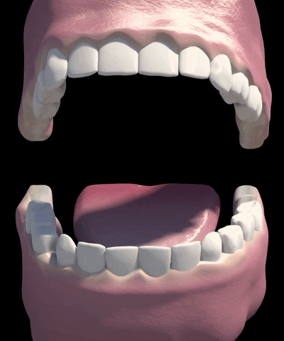 Teeth Tooth GIF by Clínicas Dentales Dra Carballo - Find & Share on GIPHY