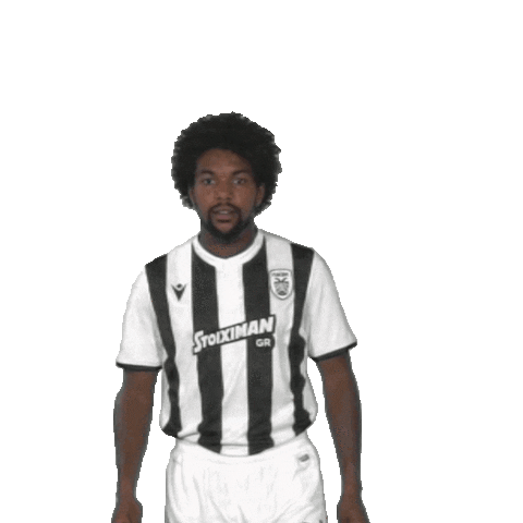 Football Paokfamily Sticker by PAOK FC for iOS & Android | GIPHY