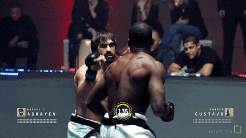 Sport Mma GIF by Karate Combat - Find & Share on GIPHY