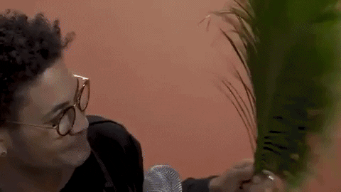 Best Vines Gif