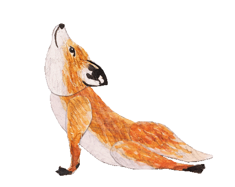 Fox Sun Sticker by Maison Kitsuné for iOS & Android | GIPHY