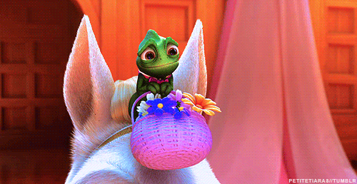 Pascal GIF - Find & Share on GIPHY