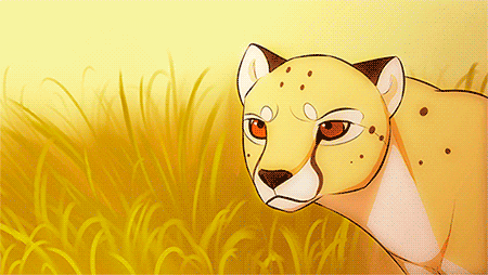 Cheetah GIF - Find & Share on GIPHY