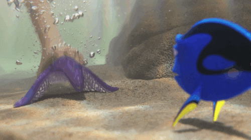 Finding Nemo Pixar Gif GIF by Disney Pixar - Find & Share on GIPHY