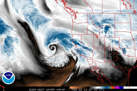 Cyclone GIFs on Giphy