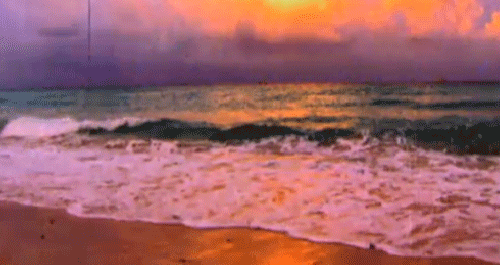 Indie GIF - Find & Share on GIPHY