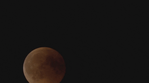 Moon Moonrise GIF by ifm_electronic - Find & Share on GIPHY