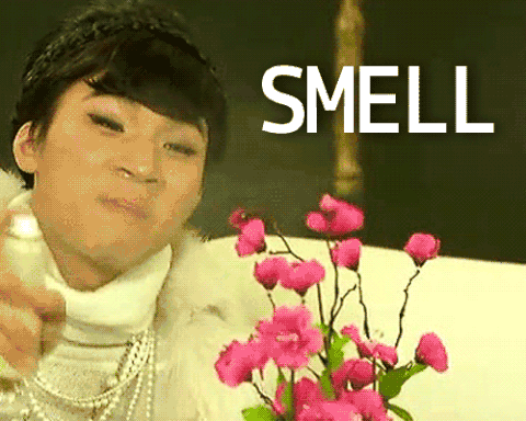 Smell GIFs - Find & Share on GIPHY