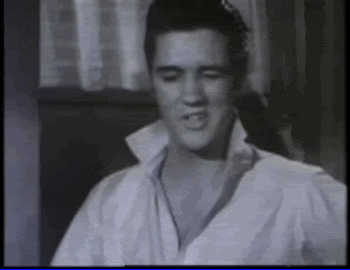 Elvis Presley Funny Gifs