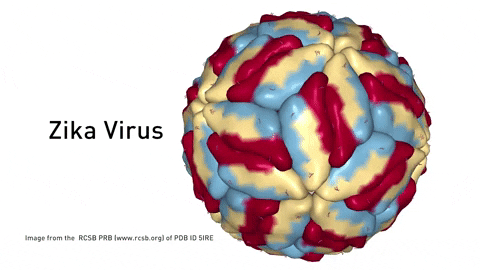 Broad Institute Virus GIF by MIT - Find & Share on GIPHY