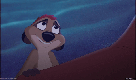Timon GIF - Find & Share on GIPHY