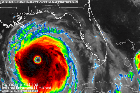 Hurricane GIF - Find & Share on GIPHY