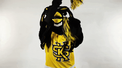 Cheer Celebrate GIF by Kennesaw State University - Find & Share on GIPHY