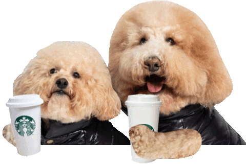Dog Coffee Sticker for iOS & Android | GIPHY