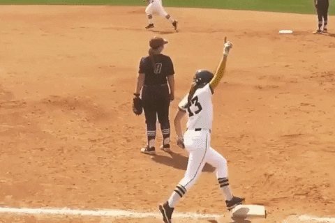 Softball Utc GIF by Chattanooga Mocs - Find & Share on GIPHY