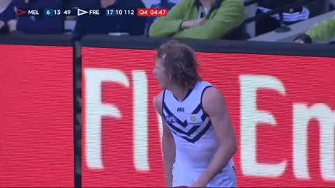 Fremantle Dockers GIF - Find & Share on GIPHY