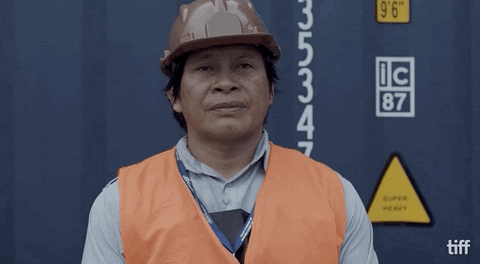 TIFF GIF - Find & Share on GIPHY