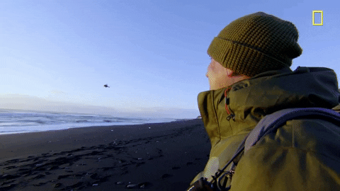 Rob Riggle Iceland GIF by National Geographic Channel - Find & Share on ...