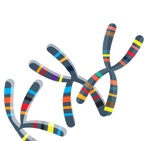 Dna Research Sticker by The Jackson Laboratory for iOS & Android | GIPHY