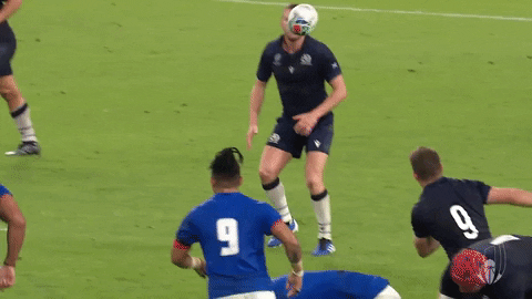 World Rugby Sport GIF by Rugby World Cup - Find & Share on GIPHY