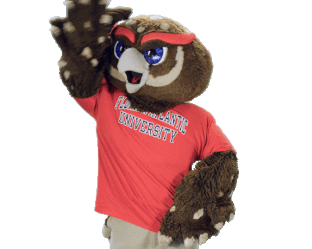 Fau Owl Sticker by Florida Atlantic University for iOS & Android | GIPHY