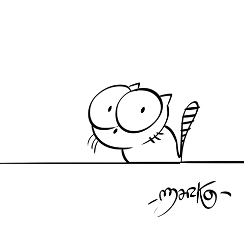 Cat Loop GIF by marko - Find & Share on GIPHY