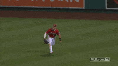 Los Angeles Angels Mlb GIF - Find & Share on GIPHY