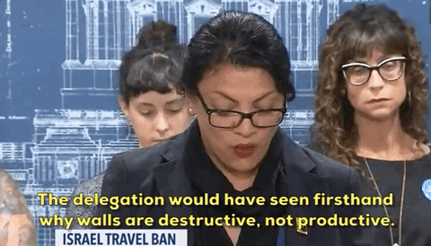 Rashida Tlaib GIF by GIPHY News - Find & Share on GIPHY