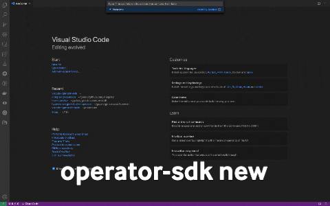 GitHub - akoserwal/vscode-operator-sdk: vs code plugin for operator-sdk ...