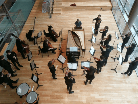 Baroque GIF by Schulich School of Music of McGill University - Find ...