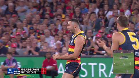 Round 3 Celebration GIF by Adelaide Crows - Find & Share on GIPHY